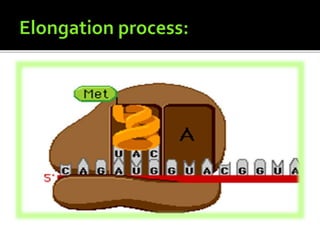 eukaryotic translation machinery by kk sahu | PPTX
