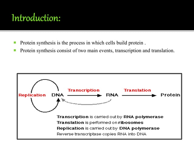 eukaryotic translation machinery by kk sahu | PPTX | Chemistry | Science