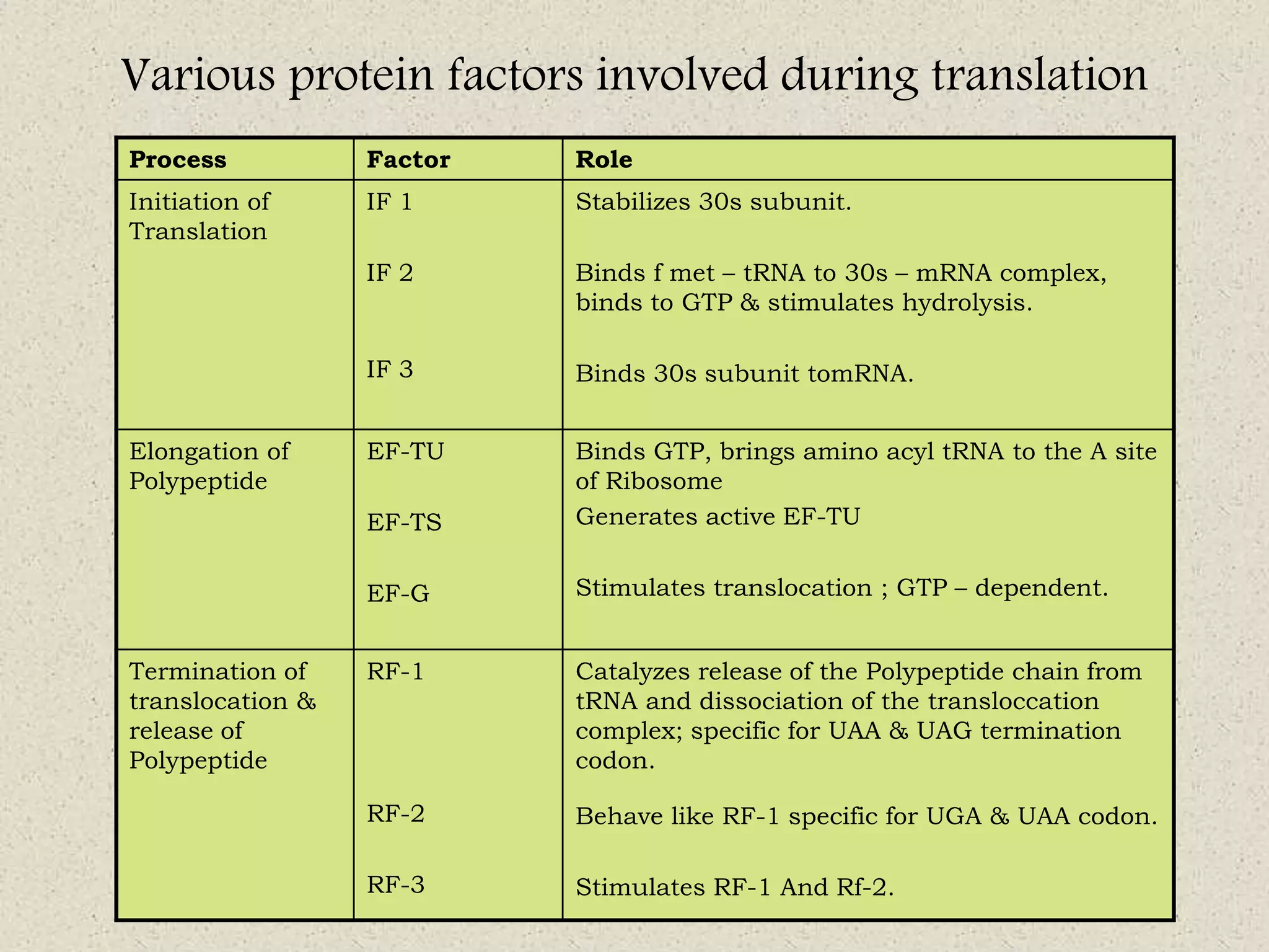 Prokaryotic translation machinery by kk | PPTX