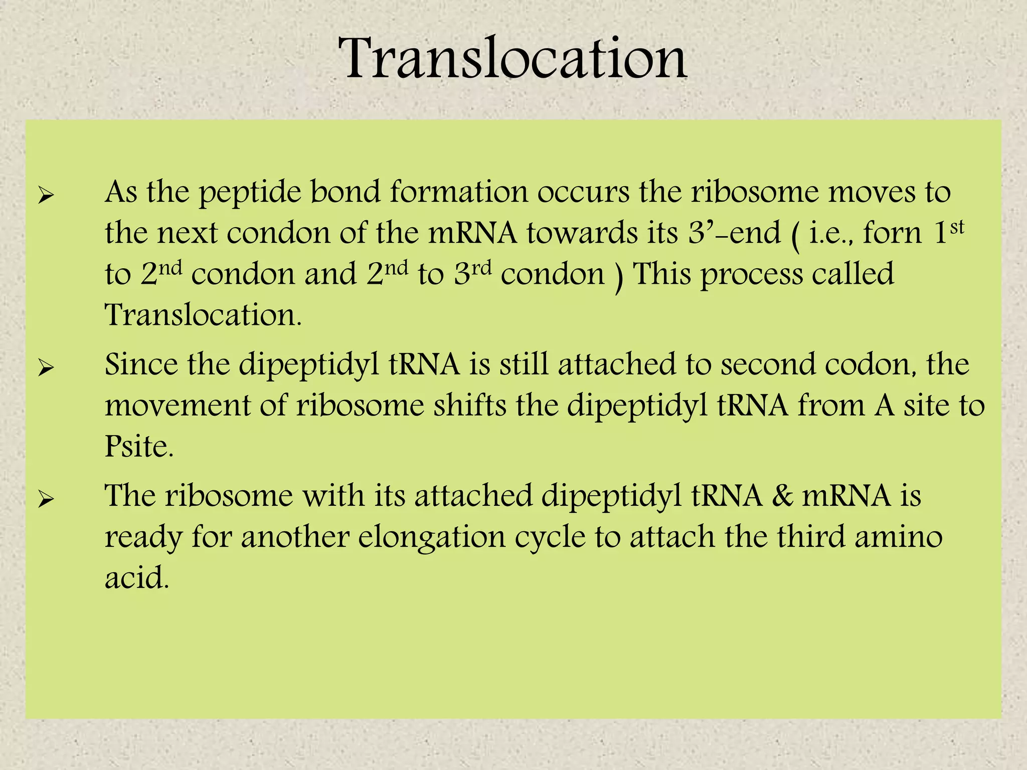 Prokaryotic translation machinery by kk | PPTX