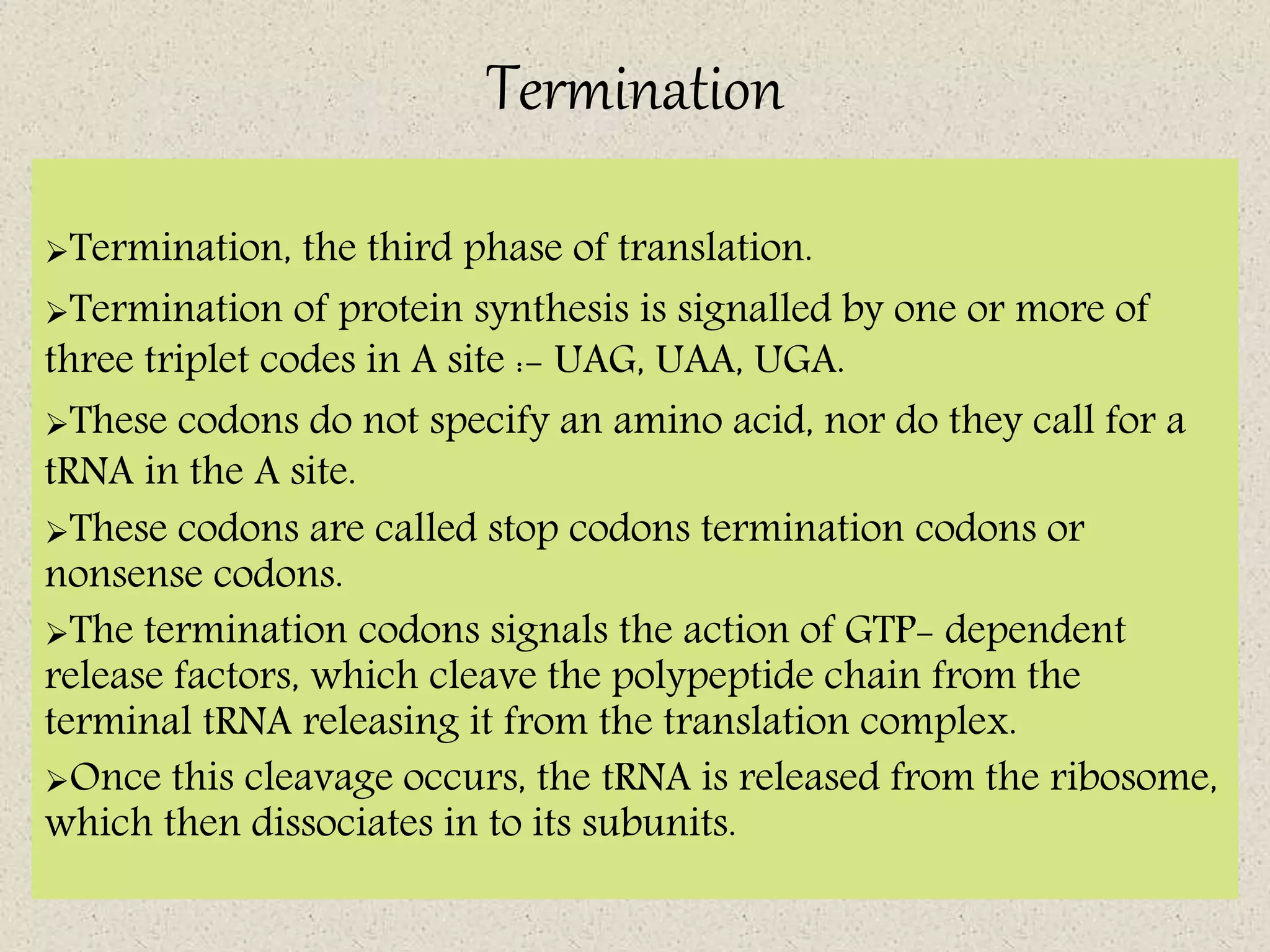 Prokaryotic translation machinery by kk | PPTX