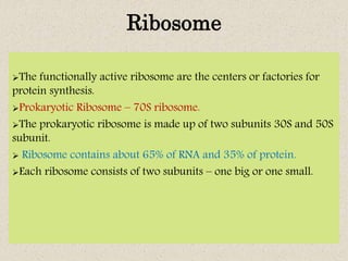 Prokaryotic translation machinery by kk | PPTX