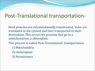 Protein sorting and targeting | PPT