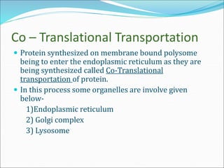 Protein sorting and targeting | PPT