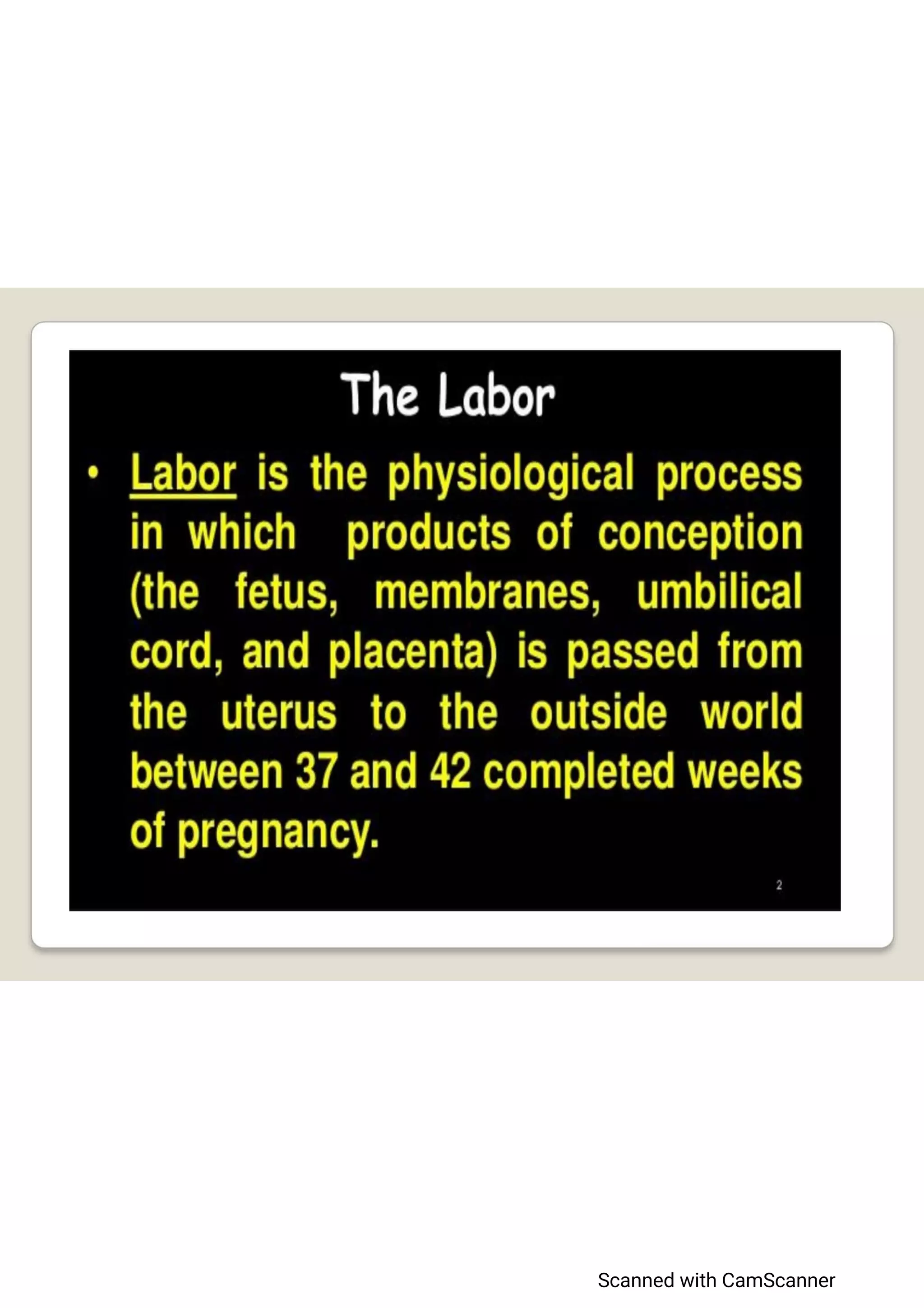The Normal Labor | PDF
