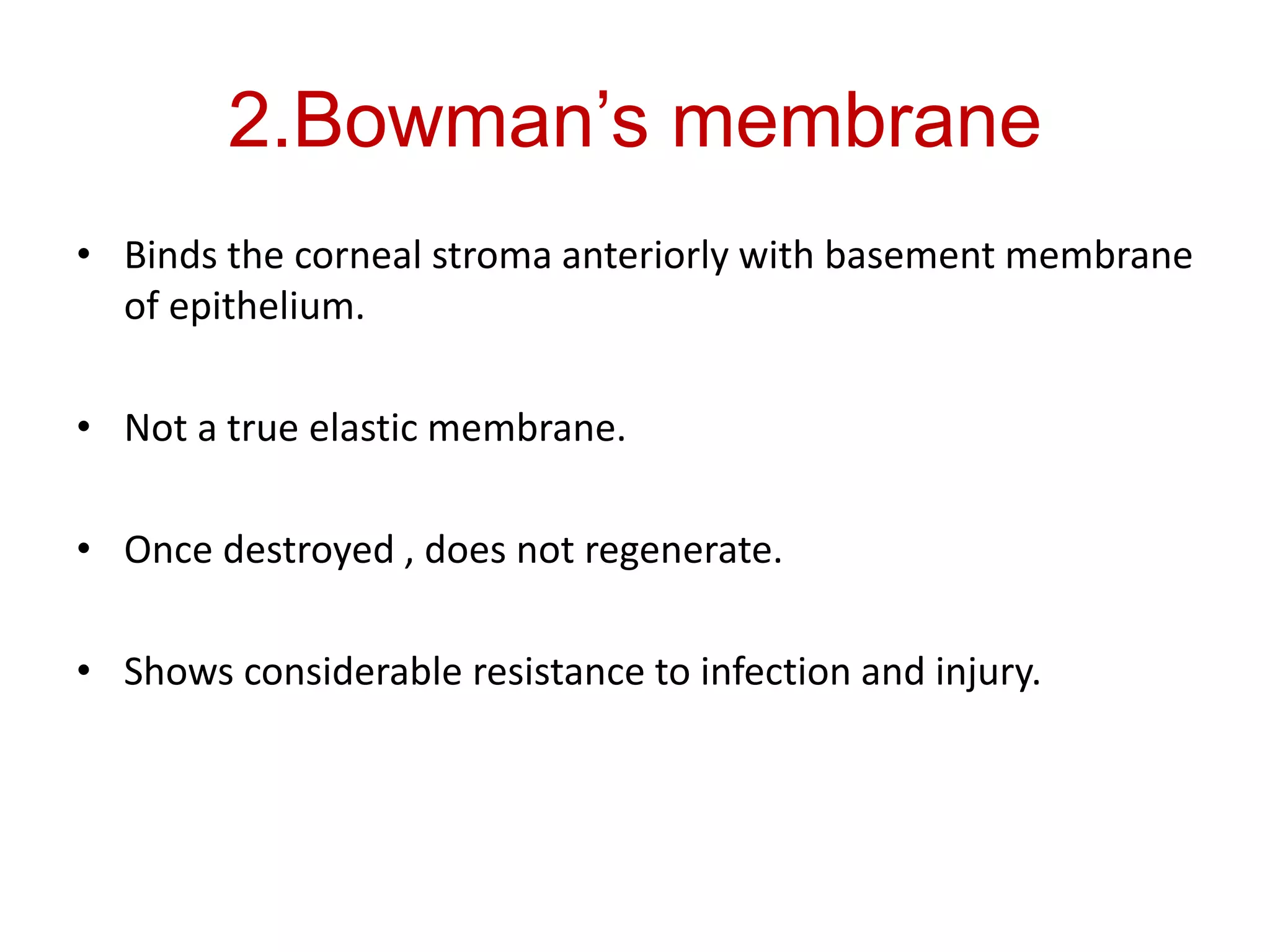 Anatomy of cornea | PPT