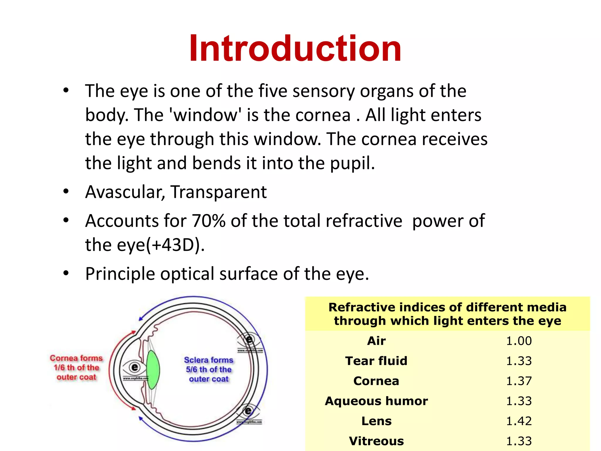 Anatomy of cornea | PPTX | Eye and Vision Conditions | Diseases and ...