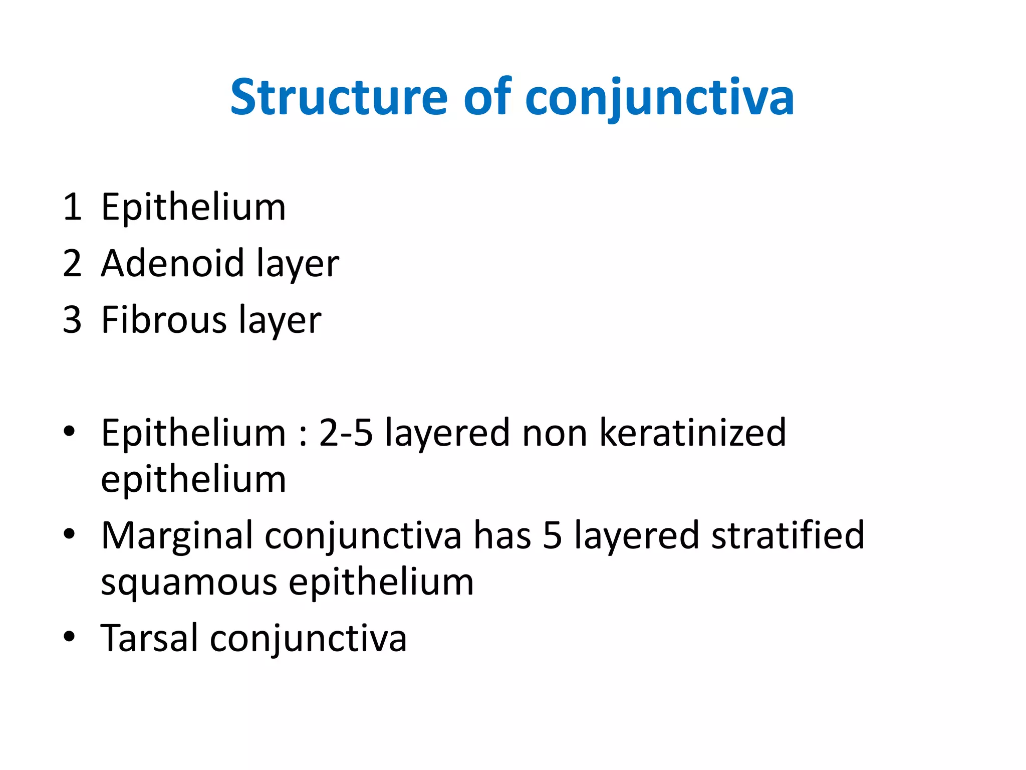 Anatomy of cornea | PPTX