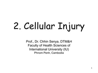 Cell injury | PPT