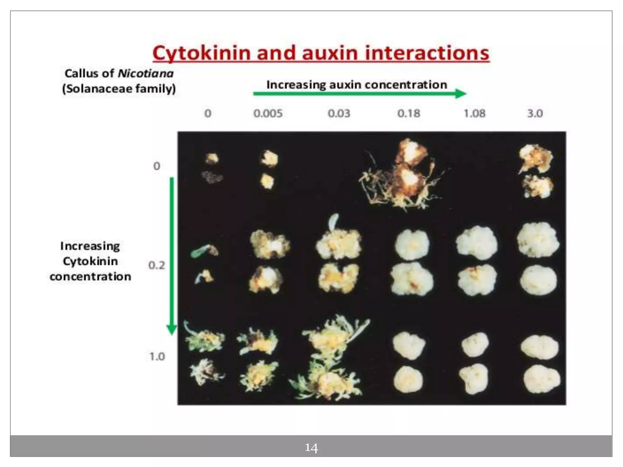 2.1 formation of abnormal structures in plants | PPTX