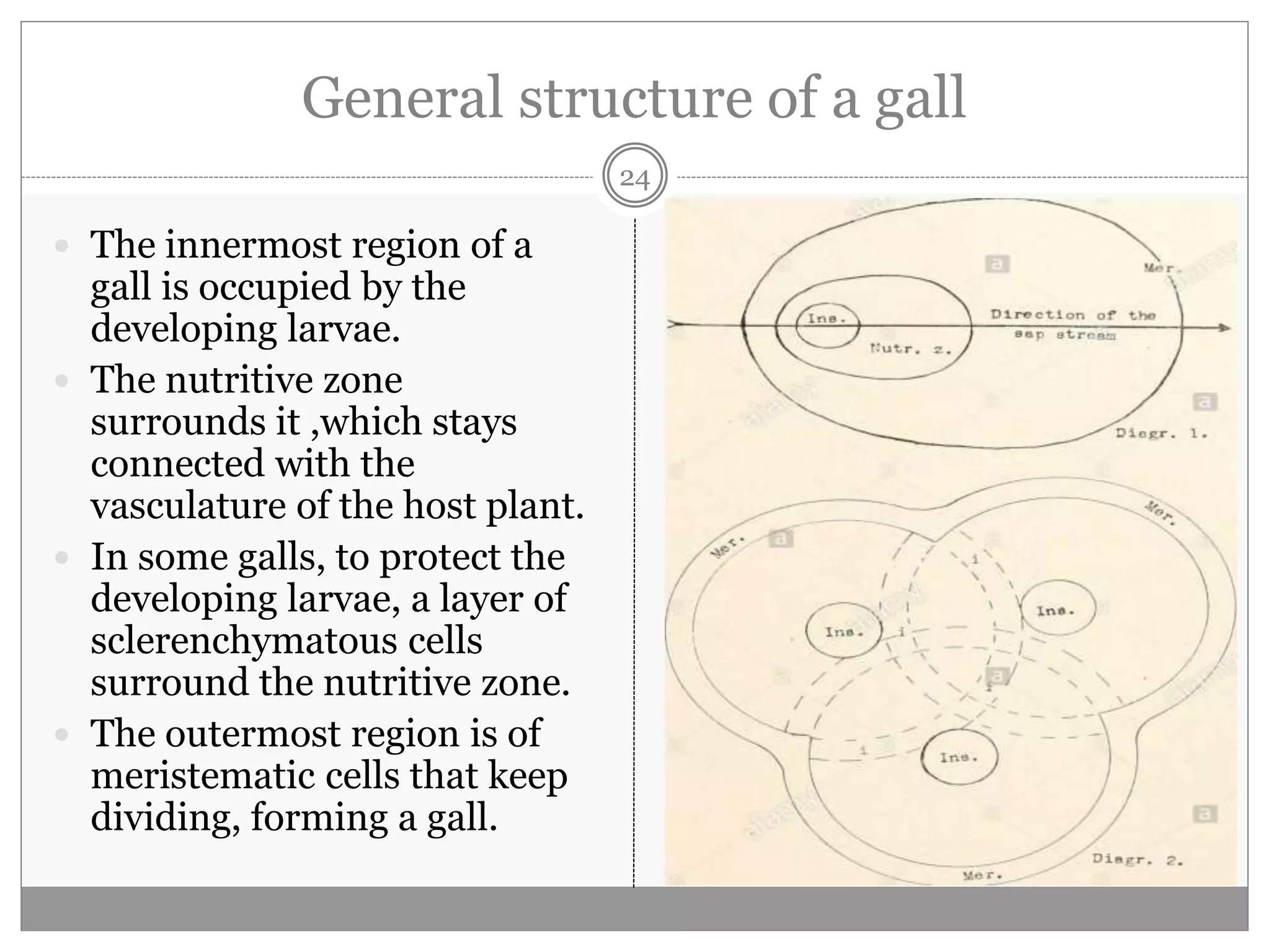 2.1 formation of abnormal structures in plants | PPTX
