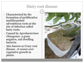 2.1 formation of abnormal structures in plants | PPTX
