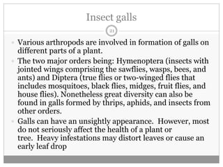 2.1 formation of abnormal structures in plants | PPTX