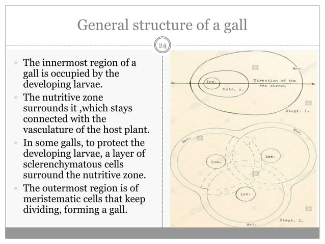 2.1 formation of abnormal structures in plants | PPT