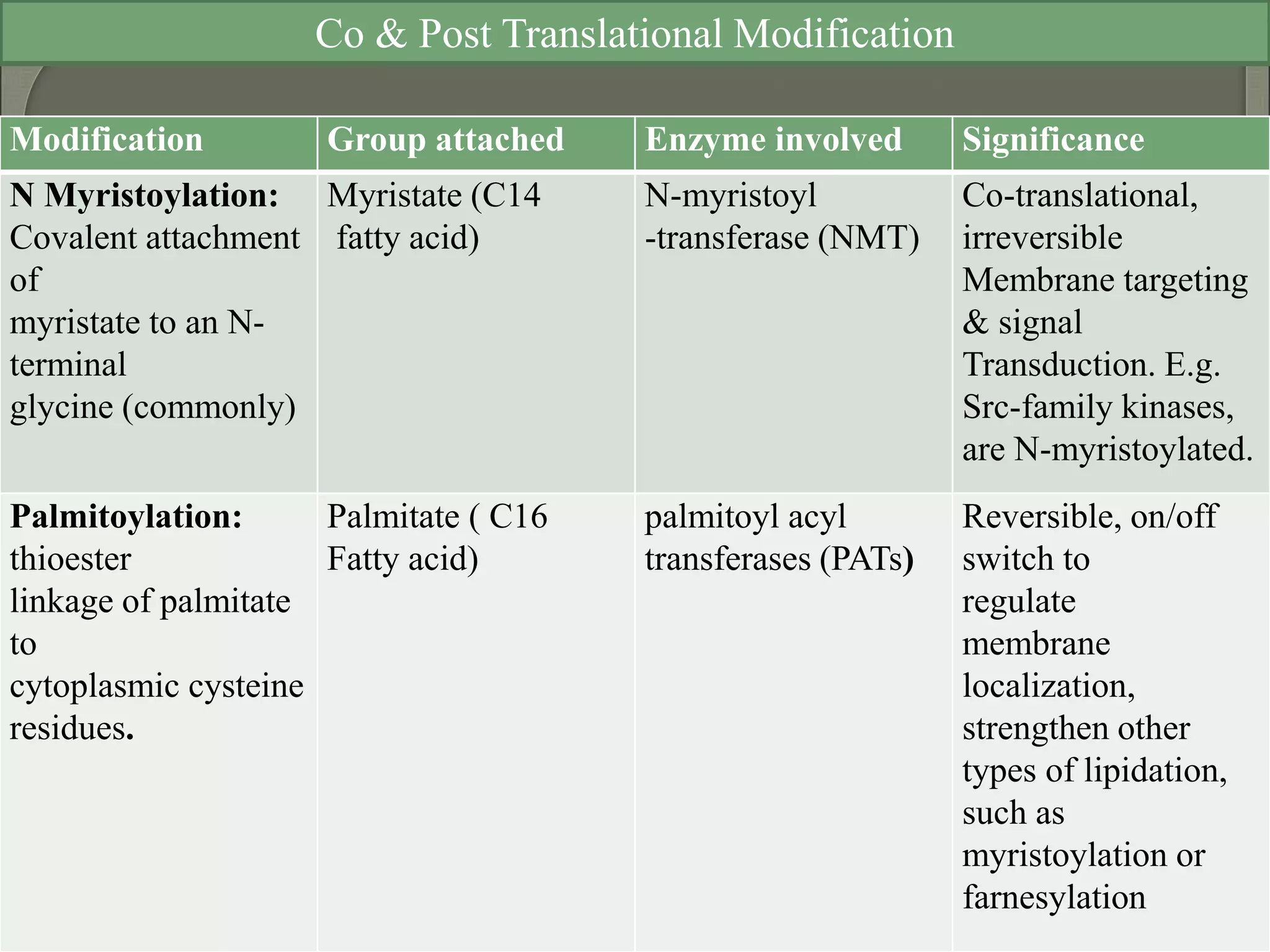 co and post translation modification | PPT