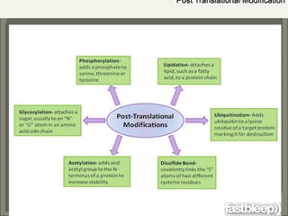 co and post translation modification | PPT