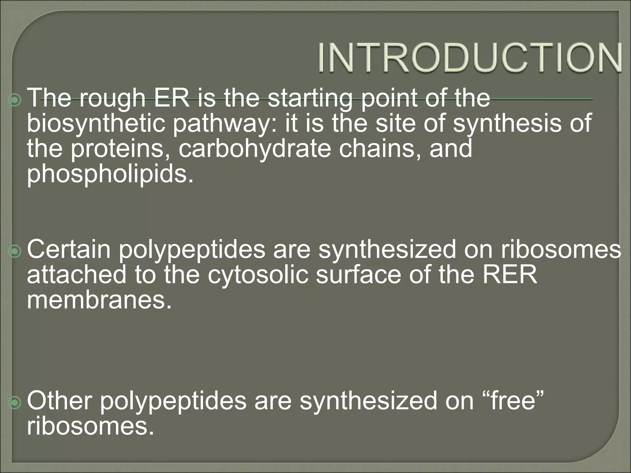 membrane protein, synthesis by | PPT