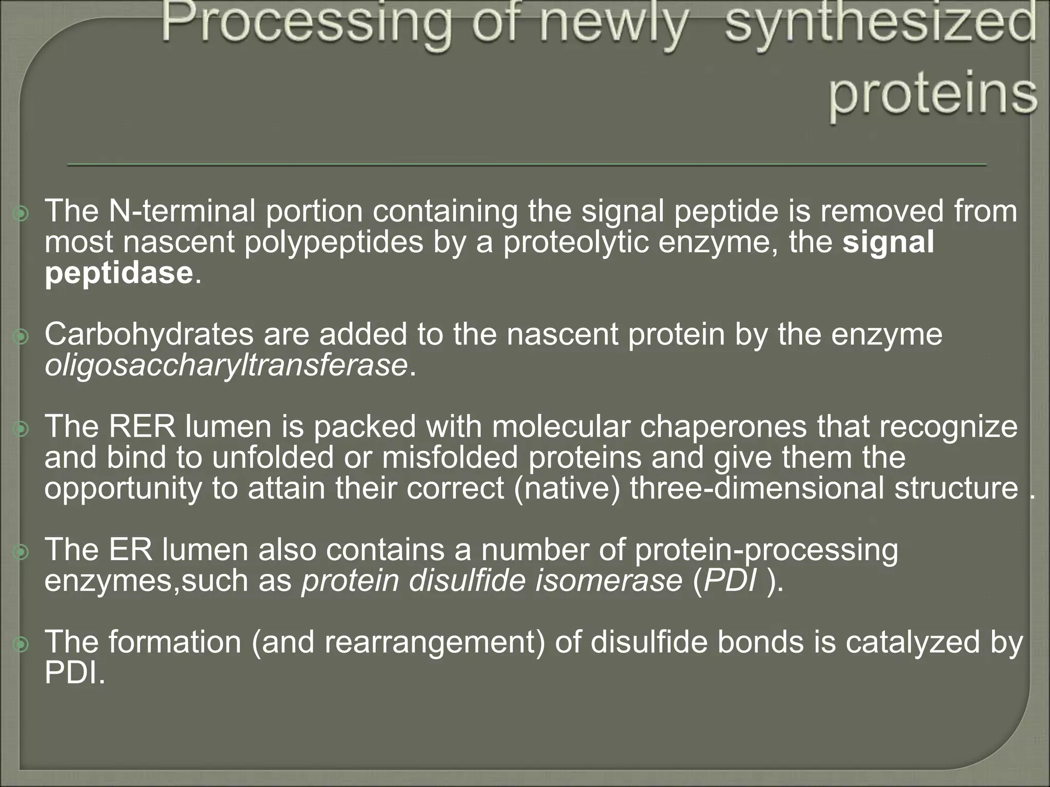 membrane protein, synthesis by | PPT