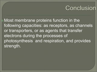membrane protein, synthesis by | PPT
