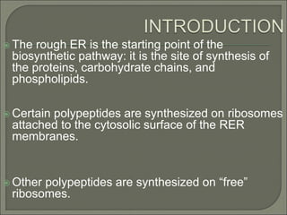 membrane protein, synthesis by | PPT