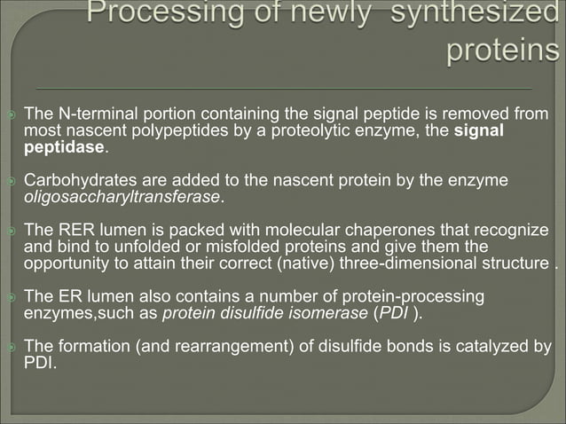 membrane protein, synthesis by | PPT