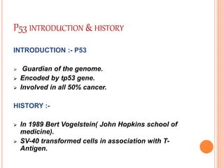 tumor suppressor gene, prb, p53 | PPT
