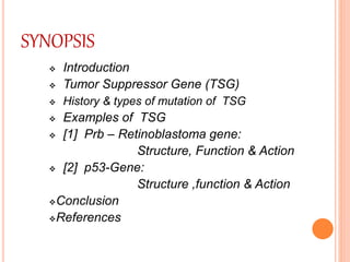 tumor suppressor gene, prb, p53 | PPT