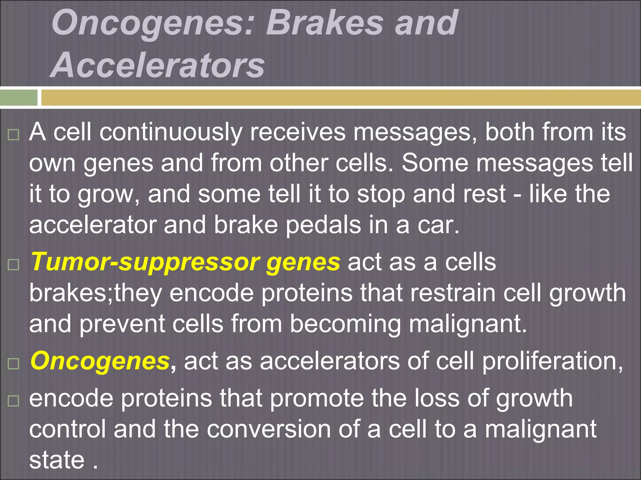 tumor suppressor gene by | PPT