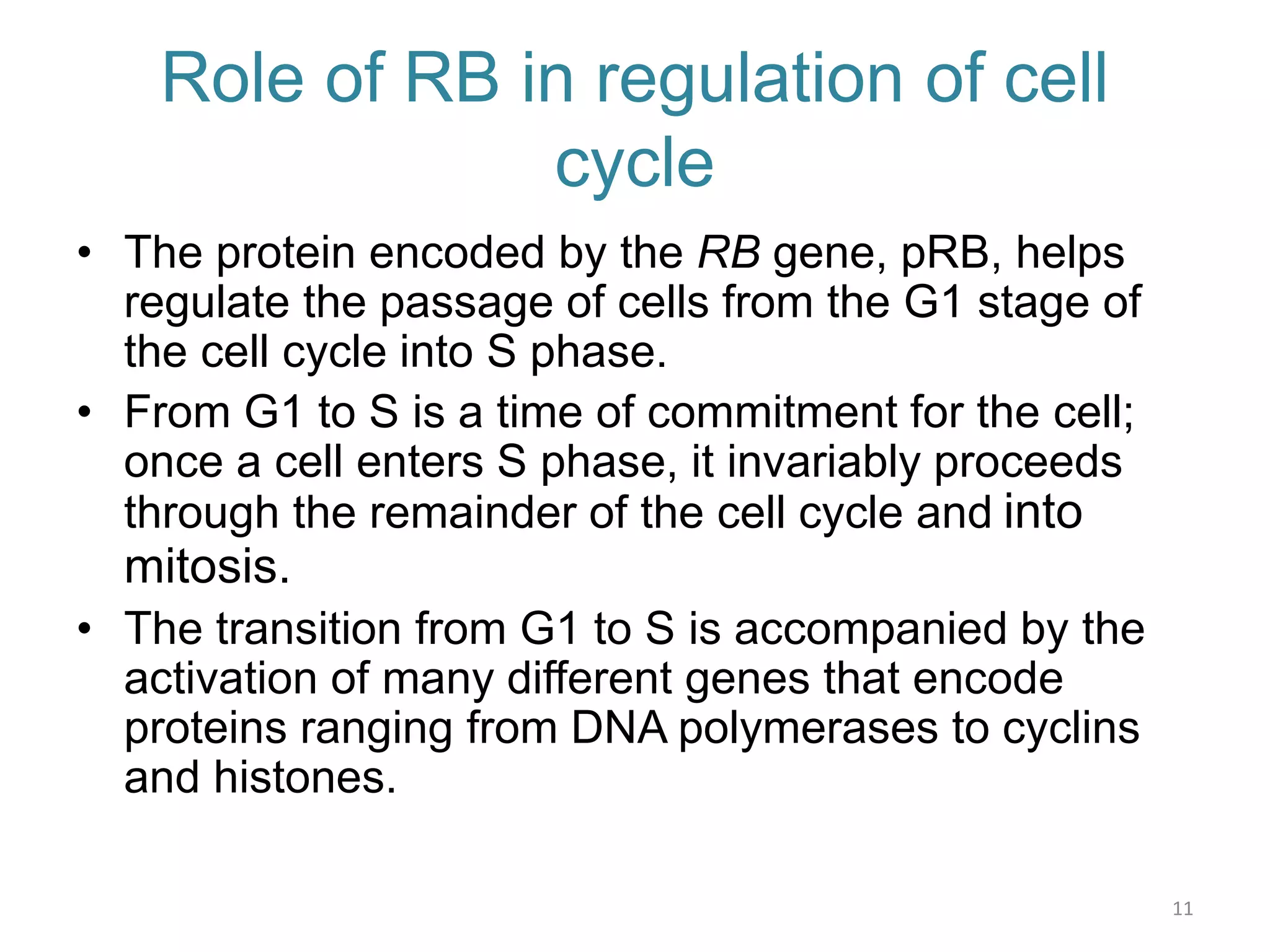 tumor suppressor gene, prb, p53 gene | PPTX
