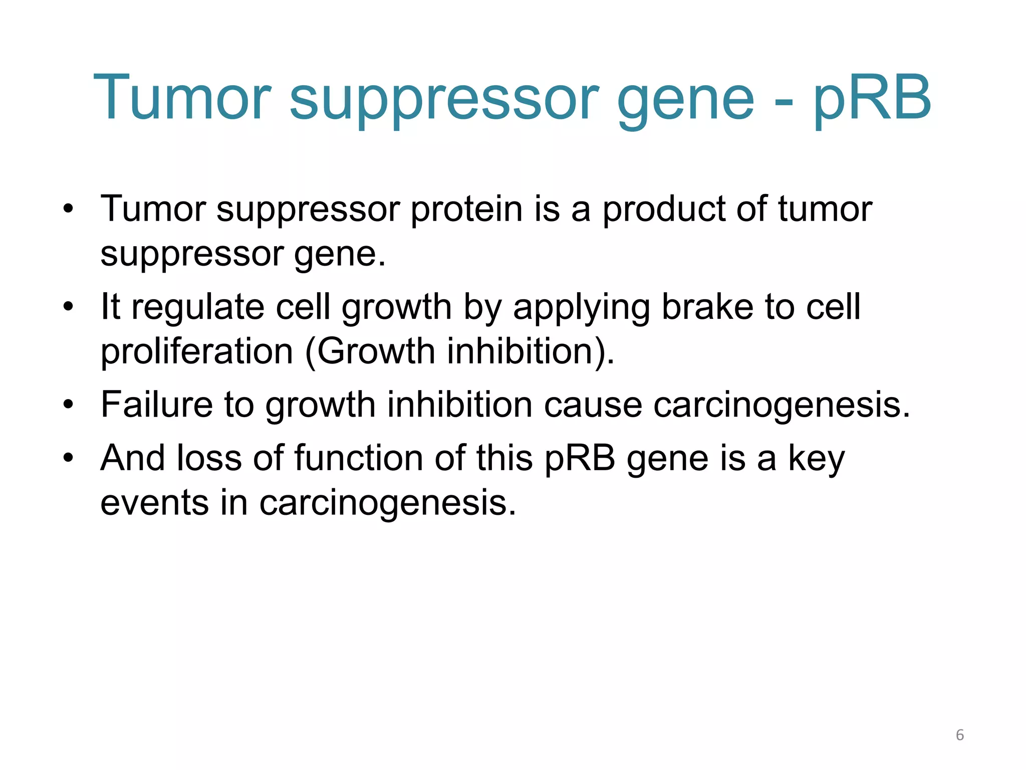 tumor suppressor gene, prb, p53 gene | PPTX