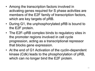 tumor suppressor gene, prb, p53 gene | PPTX