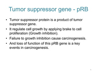 tumor suppressor gene, prb, p53 gene | PPTX