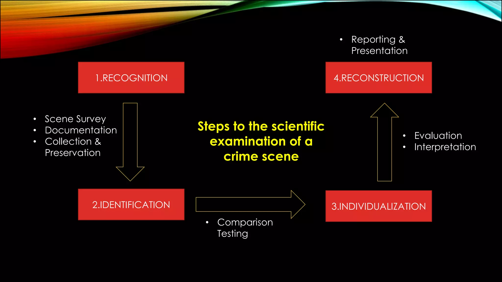 Crime scene management | PDF