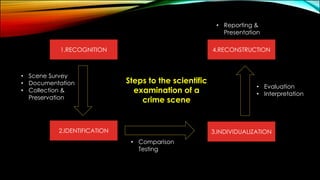 Crime scene management | PDF