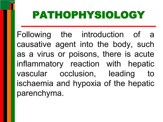 Fulminant hepatic failure-Mr Mulundano | PPTX | Digestive Disorders | Diseases and Conditions