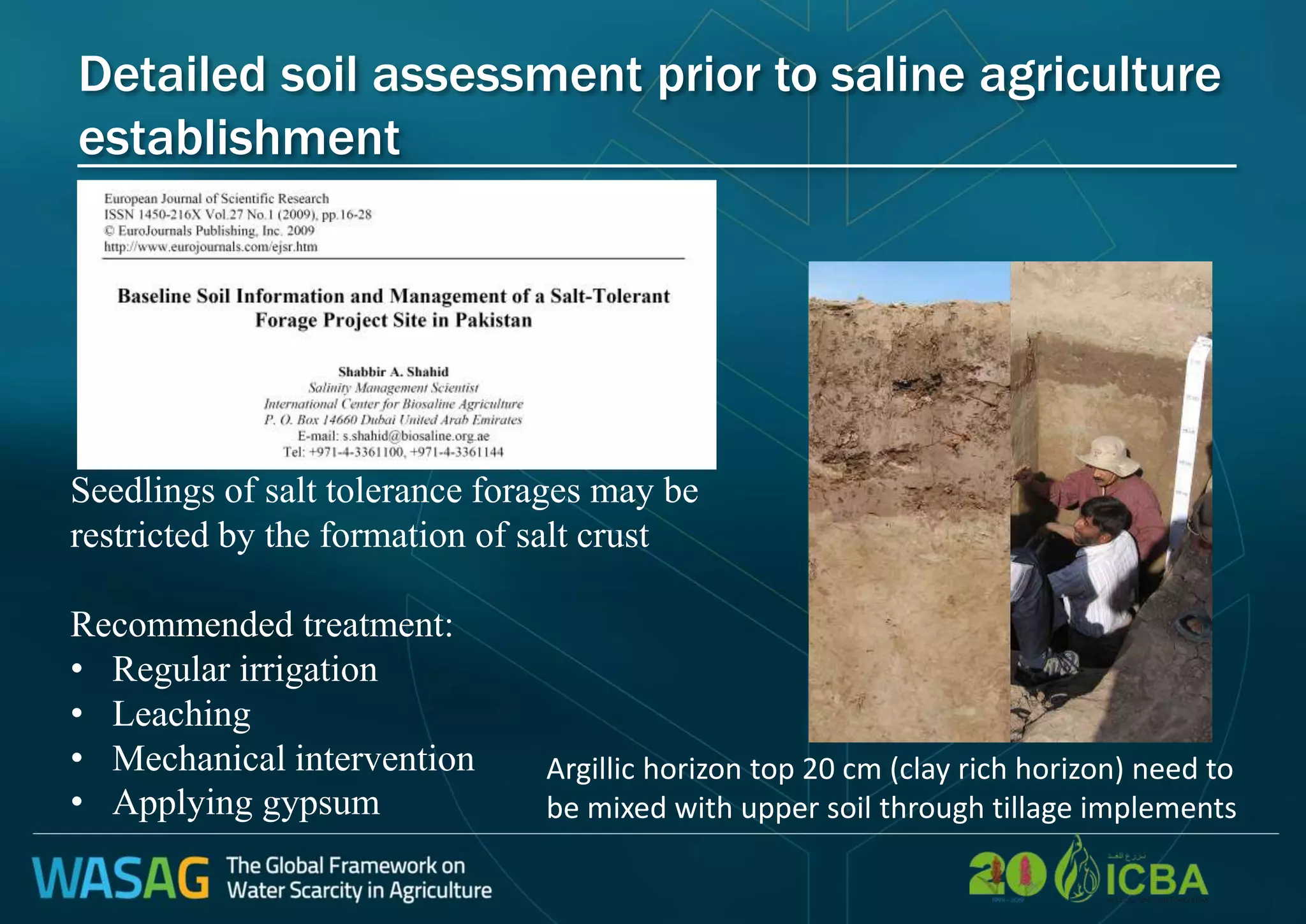 Learned lessons from saline soil management and saline agriculture projects | PPT