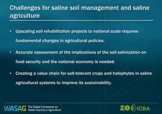 Learned lessons from saline soil management and saline agriculture ...