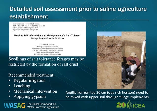 Learned lessons from saline soil management and saline agriculture ...