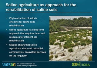 Learned lessons from saline soil management and saline agriculture ...