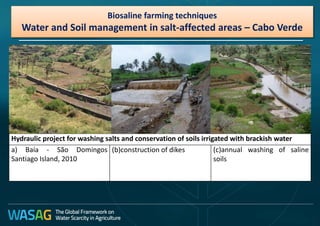 Biosaline agriculture techniques: Soil and water salinity in Cabo Verde context | PPT