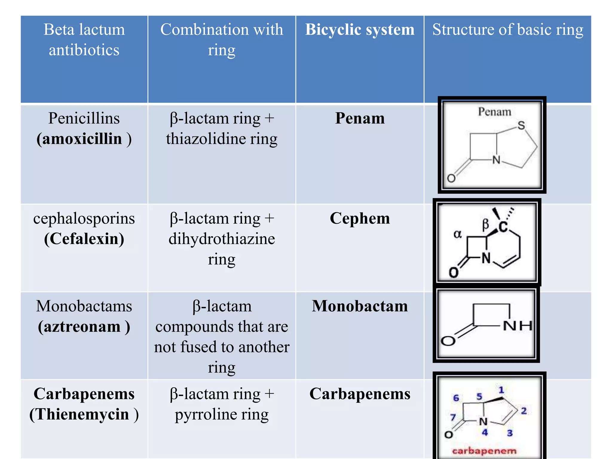 2. beta lactum antibiotics | PPTX
