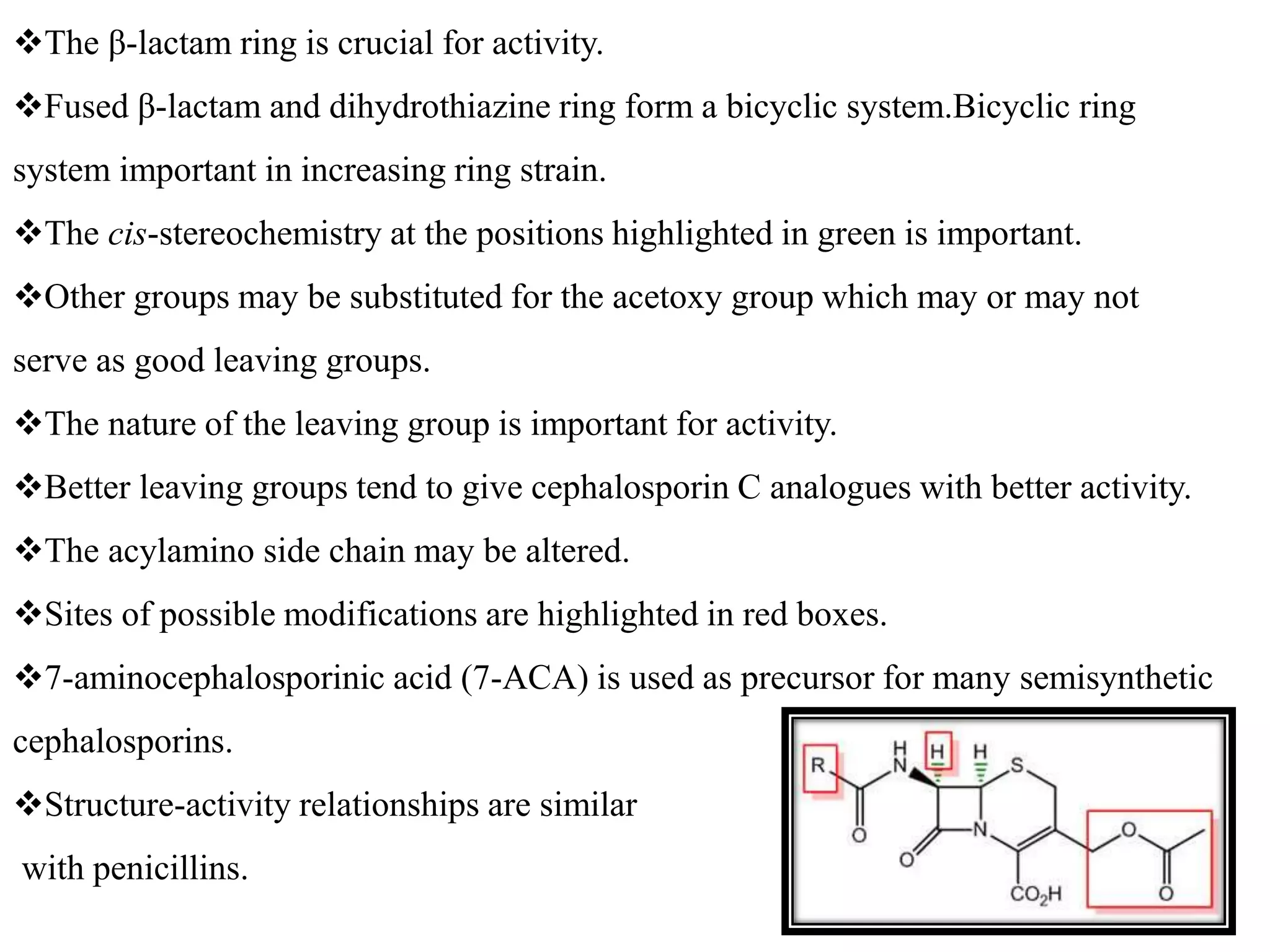 2. beta lactum antibiotics | PPTX