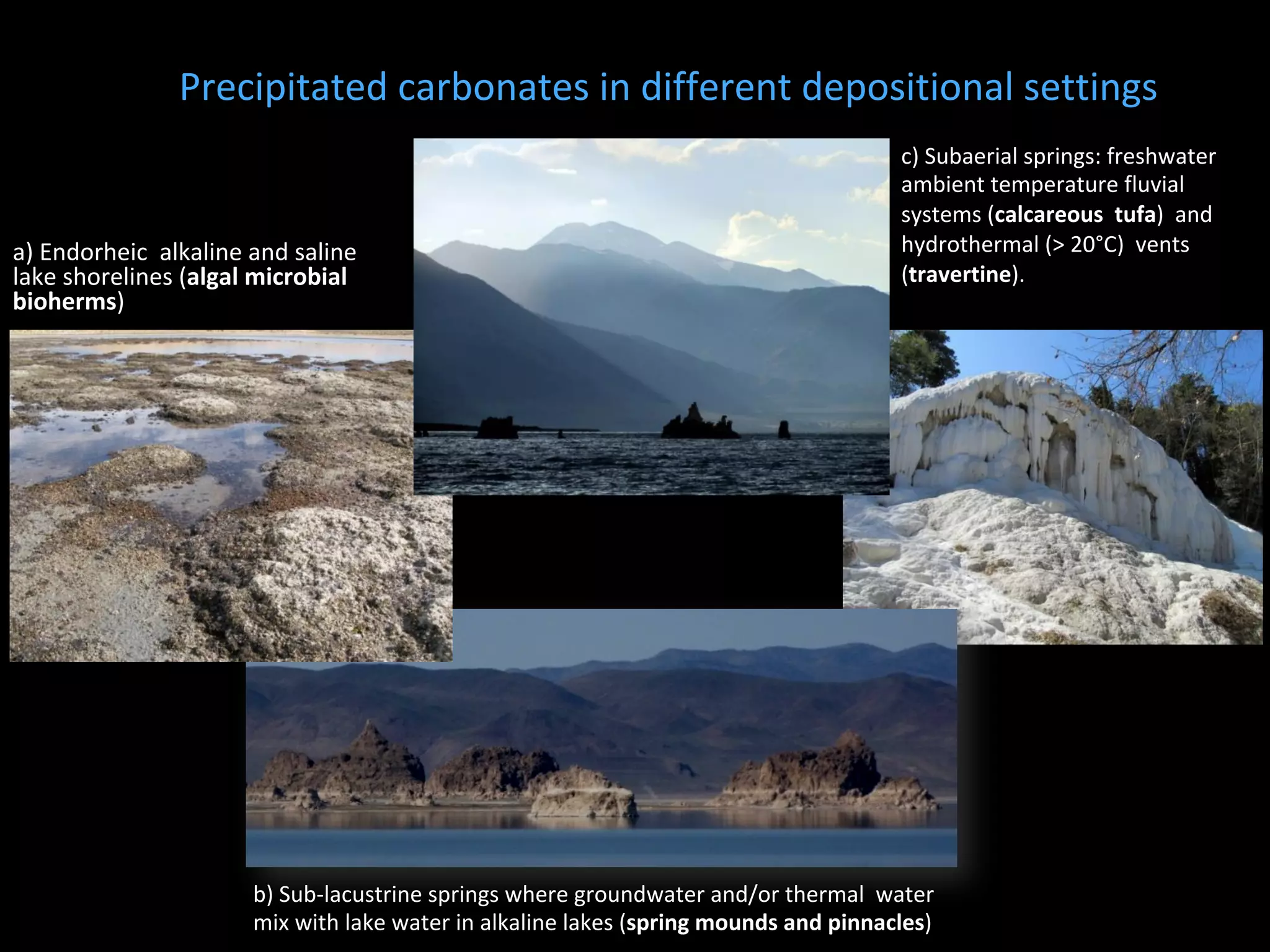 G. Della Porta (2015) - Non marine carbonate build-ups: comparing ...