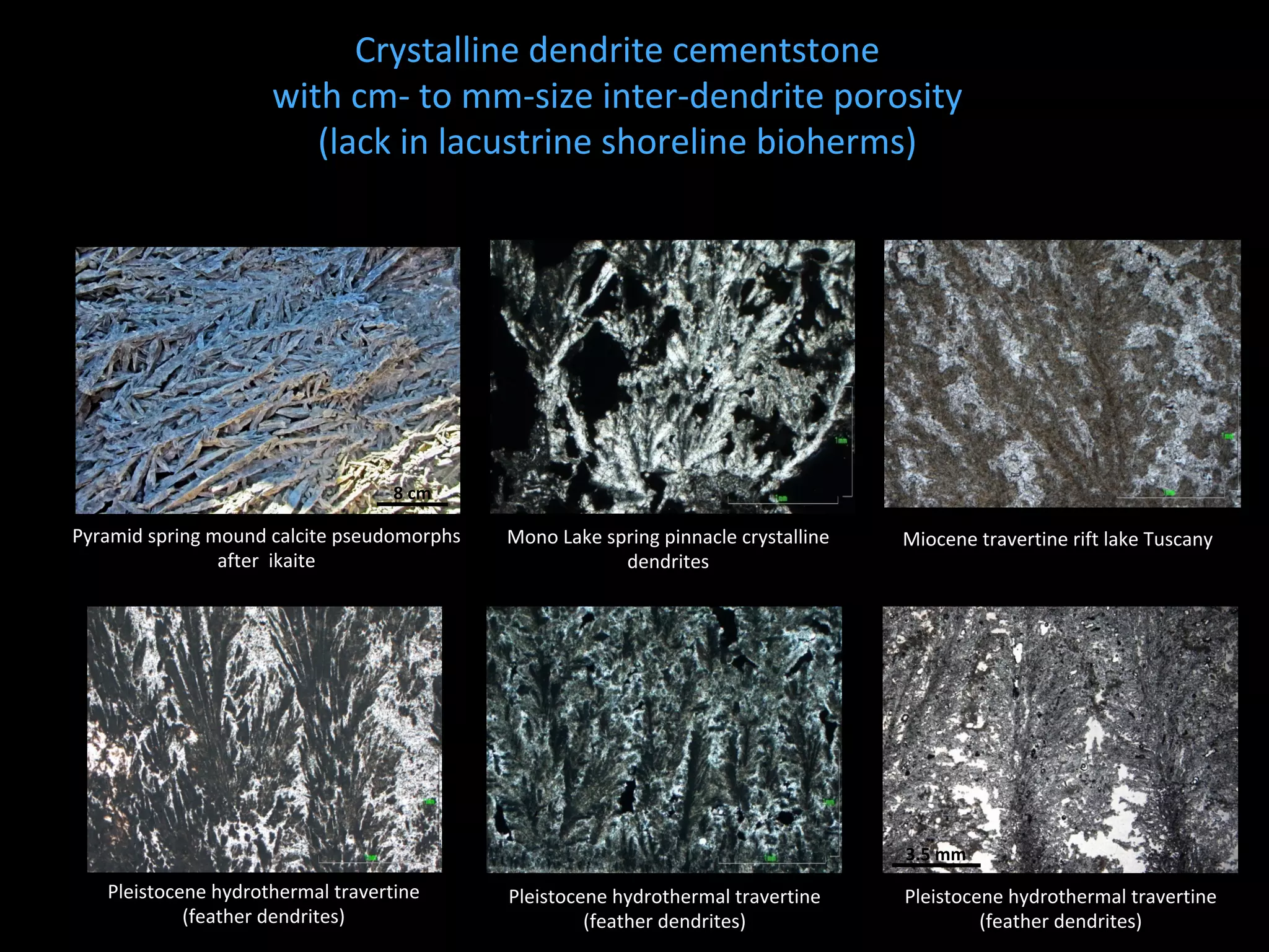 G. Della Porta (2015) - Non marine carbonate build-ups: comparing ...