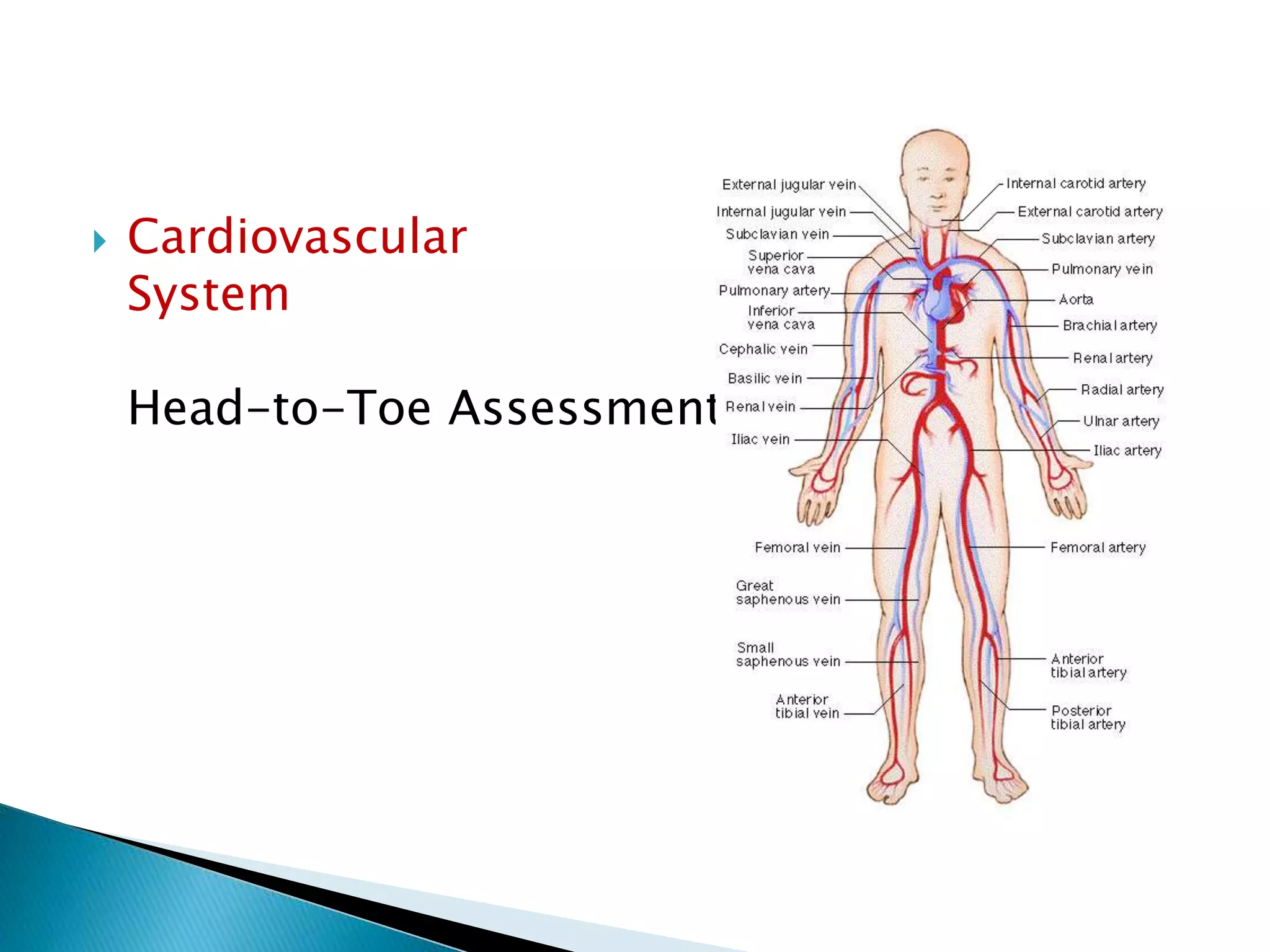 2. cv assessment | PPTX