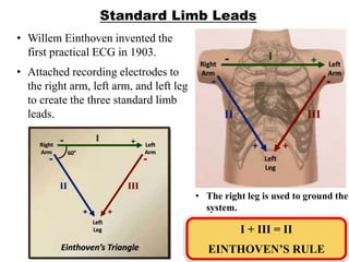 2. ecg basics leads | PPT