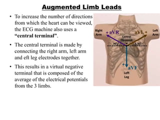 2. ecg basics leads | PPT