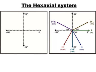 2. ecg basics leads | PPT