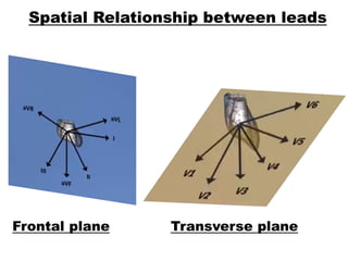 2. ecg basics leads | PPTX