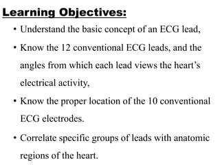 2. ecg basics leads | PPT